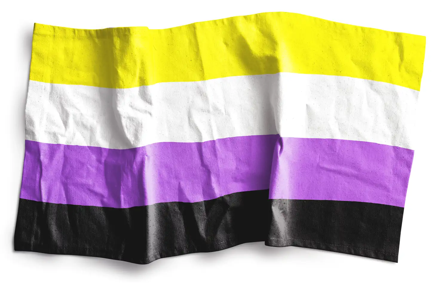 25 LGBTQ+ Pride Flags & Their Meanings (2024)